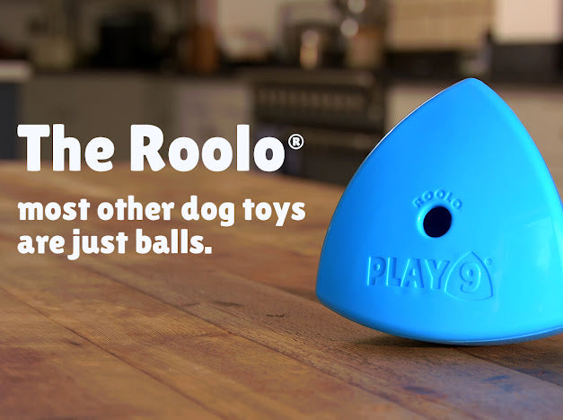Play9 Roolo Dog Toy – K9 Club Warwick